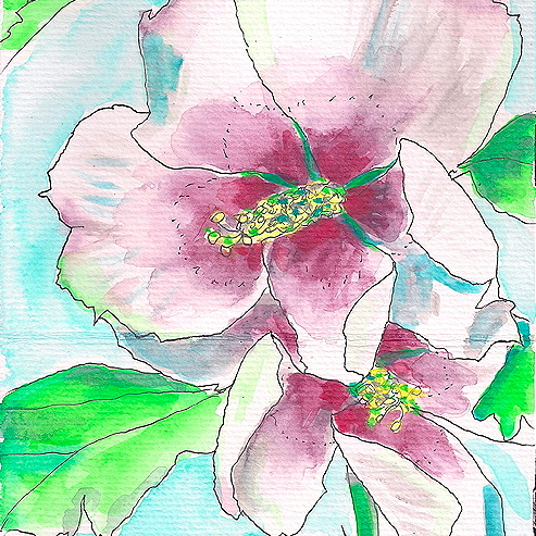 Mallow – art by iumyko